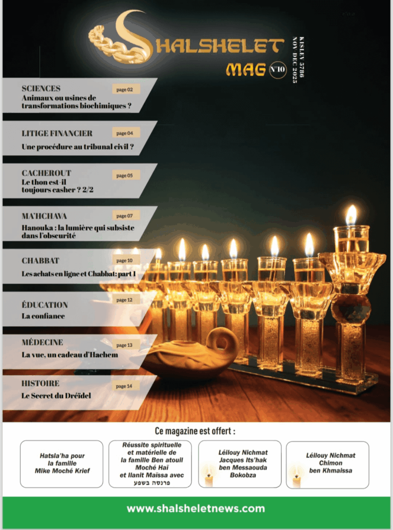 Shalshelet magazine n°10 - Shalshelet News